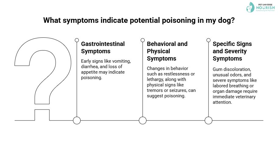 Dog Poisoning Symptoms Owners Should Know - Nourish